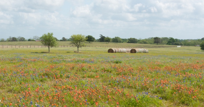 ETJ Zones | Texas City Limits Coalition